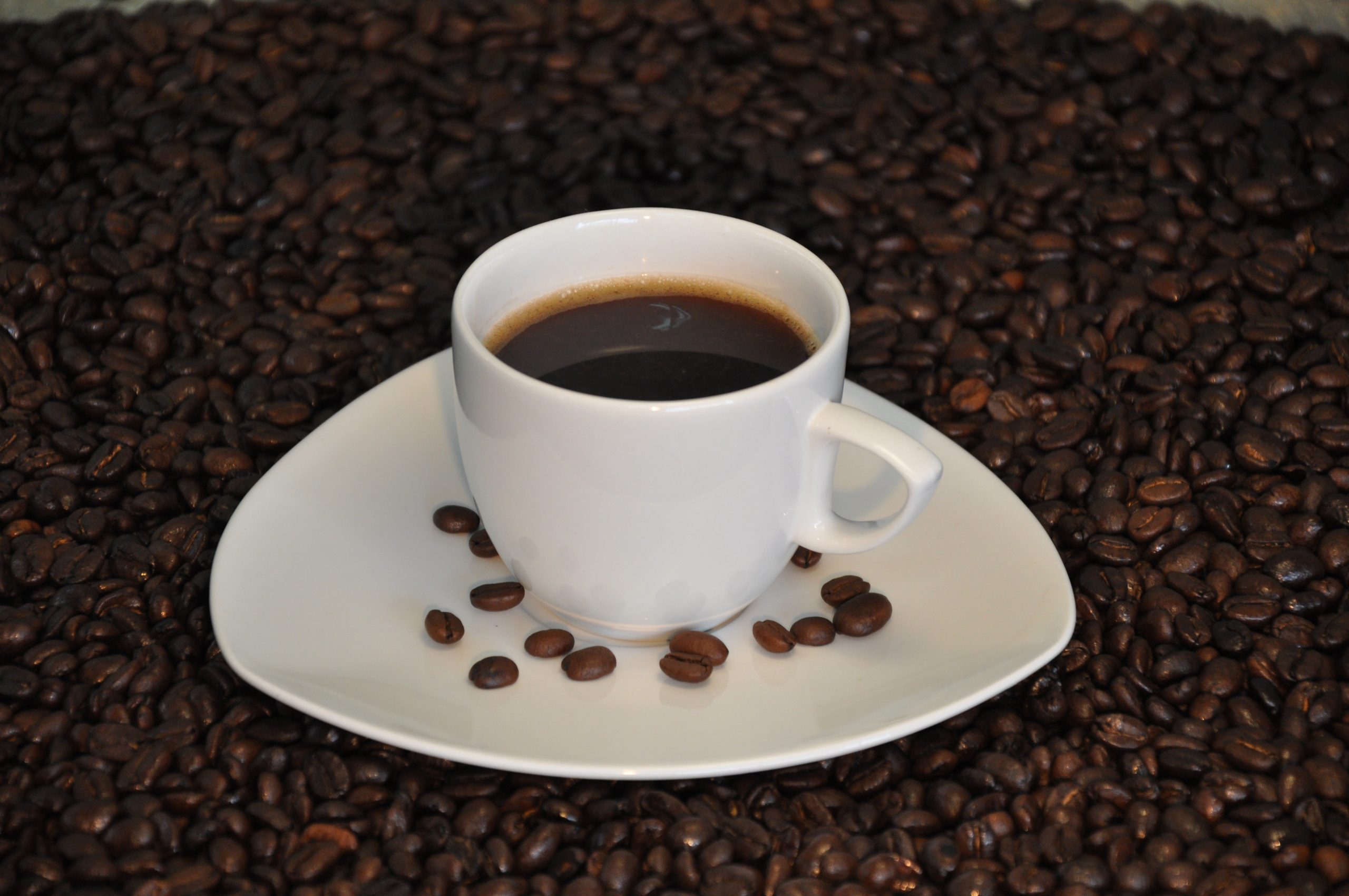 Fotografías - Federación Nacional de Cafeteros - Valle del Cauca